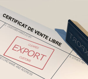 Newsletter 238 - Cosmed